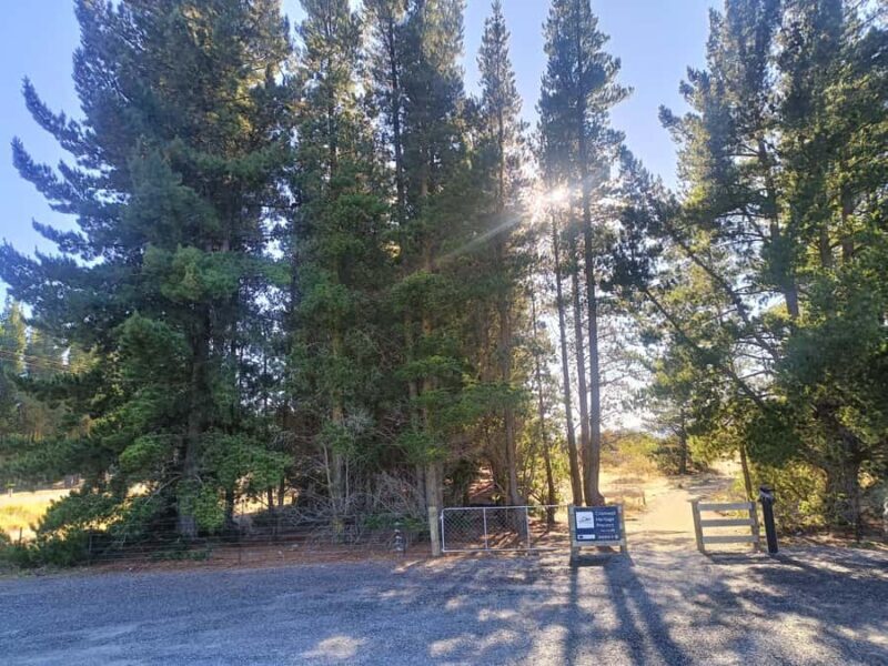 Cromwell: Lake Dunstan Trail Bike Rental and Luxury Shuttle - Pricing & Value