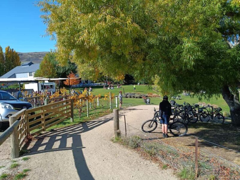 Cromwell: Lake Dunstan Trail Bike Rental and Luxury Shuttle - Final Thoughts