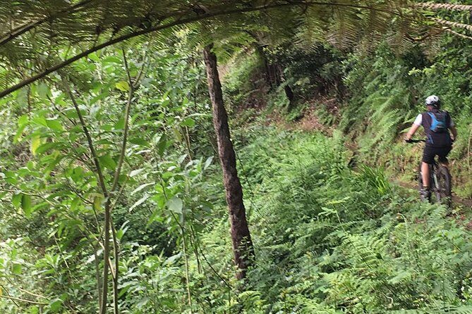 Cross Country - Moutain Bike Tour - Exploring Laurissilva Forest