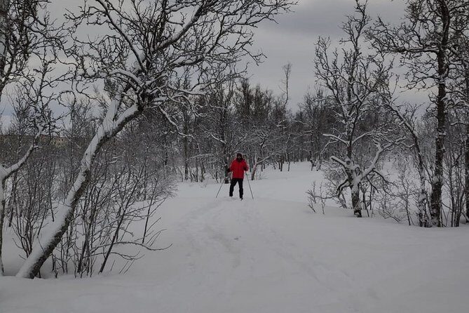 Cross-Country Ski Lesson for Beginners in Tromso - The Sum Up