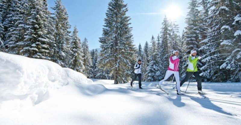 Cross Country Skiing Lessons for Beginners (Feldberg) - Exploring the Experience: What to Expect at Feldberg’s Cross-Country Skiing Lessons
