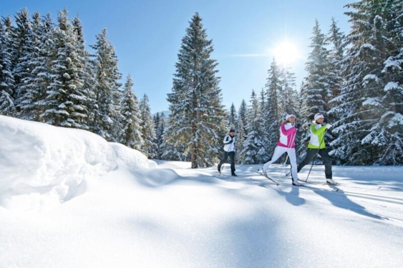Cross Country Skiing Lessons for Beginners (Feldberg) - Authentic Feedback from Past Participants