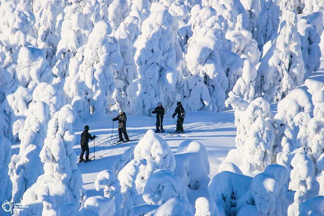 Cross-Country Skiing Trip - Logistics and Practical Details