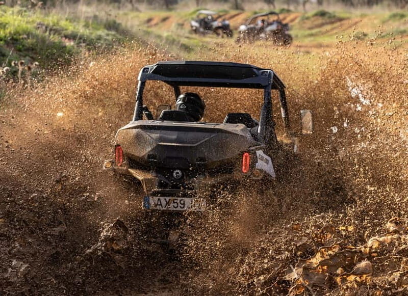 cross country - Key Points