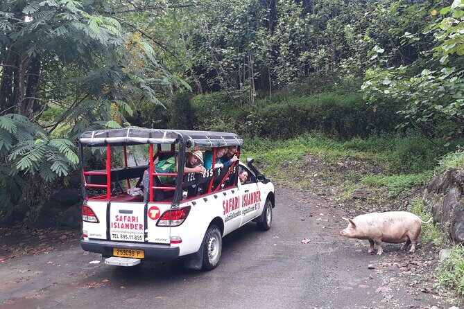 Crossing Island of Tahiti 4x4 Mountain, Waterfall, River, Basins - Challenges and Considerations
