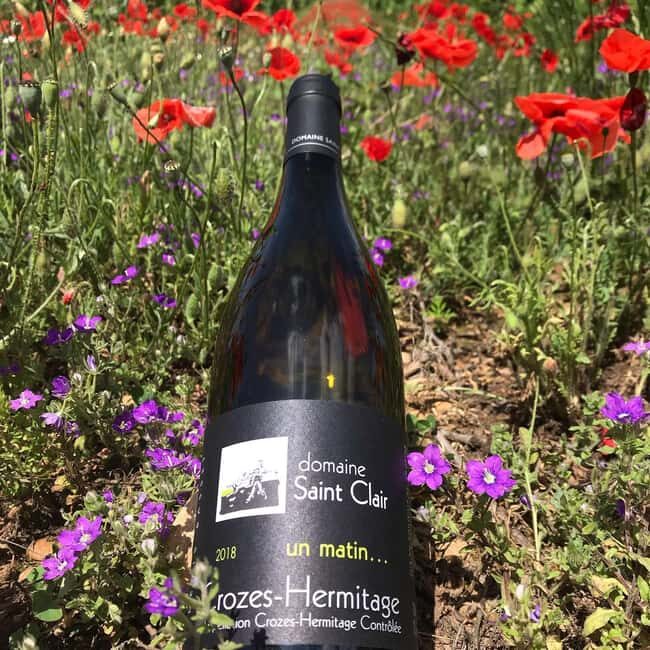 Crozes-Hermitage Guided Tour & Tasting - Practical Tips for Visitors