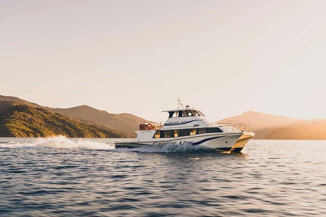 Cruise and Lunch at Furneaux Lodge - A Full Breakdown of the Experience