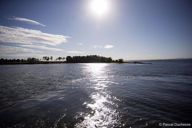 Cruise and Visit of Grosse-Ile - Why This Tour Works for Different Travelers