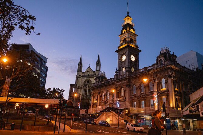 Cruise Dunedin City and Castle Tour - Who Would Love This Tour?