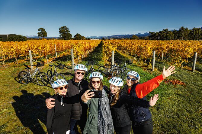 Cruise Excursion Self Guided Biking Wine Tour - Pricing and Value