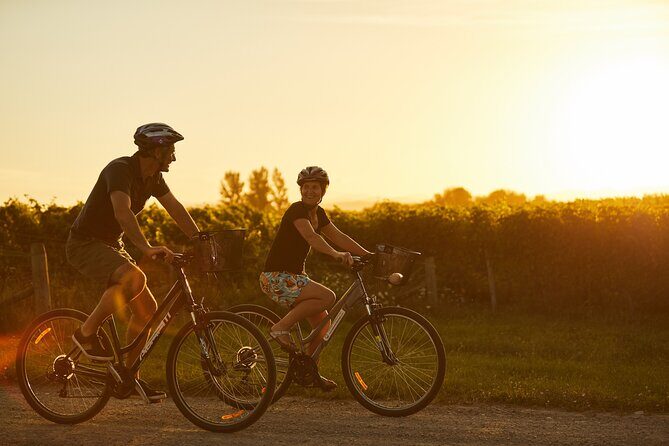 Cruise Excursion Self Guided Biking Wine Tour - Who Should Consider This Tour?