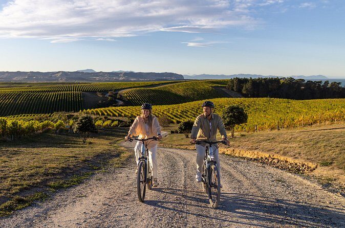 Cruise Excursion Self Guided Biking Wine Tour - The Sum Up