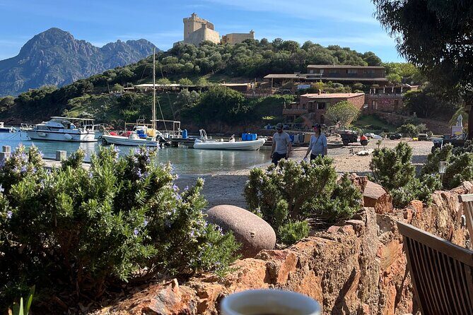 Cruise in a small group in Scandola Girolata Calanques de Piana - FAQ
