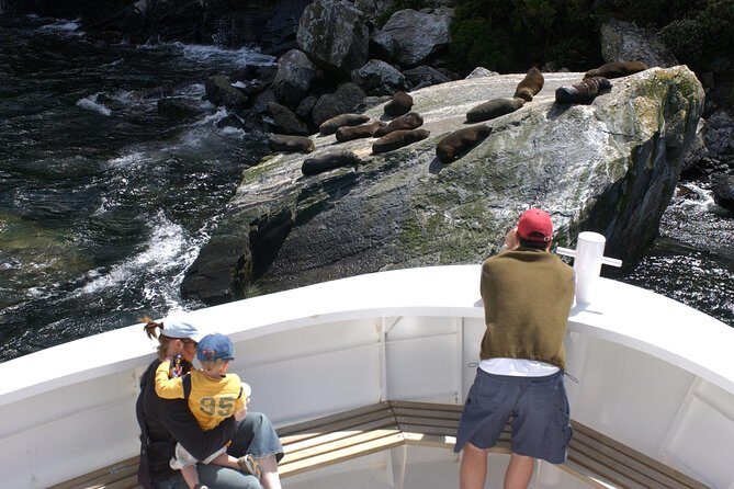 Cruise Milford NZ Small Boutique Cruise Experience - What Reviewers Say