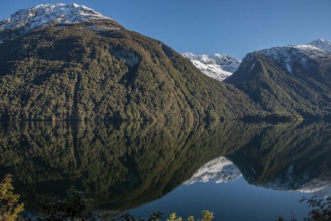 Cruise Milford Small Group Day Tour from Queenstown - Transport, Timing, and Value