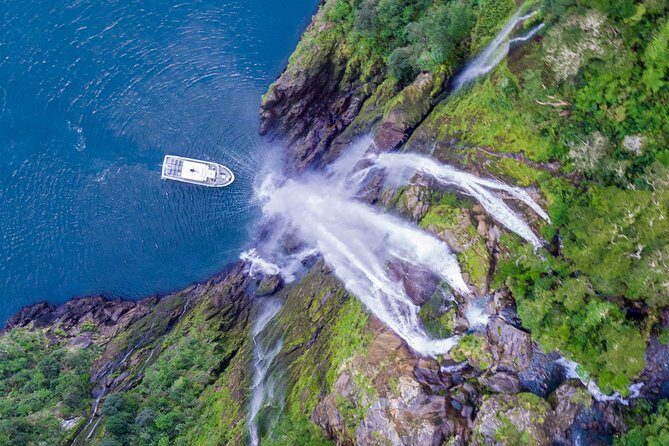 Cruise Milford Small Group Day Tour from Queenstown - The Sum Up