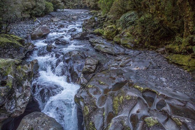 Cruise Milford Small Group Day Tour from Queenstown - FAQ