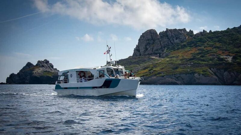 Cruise of the 2 Islands: Porquerolles & Port-Cros with stops - An In-Depth Look at the Experience