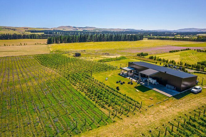CRUISE SHIP DAY LYTTELTON Hop On Hop Off Wine Tours to Waipara - Practical Tips for Making the Most of the Tour