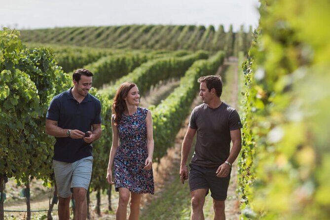 CRUISE SHIP DAY Marlborough Hop On Hop Off Wine Tours - Authentic Insights from Reviewers
