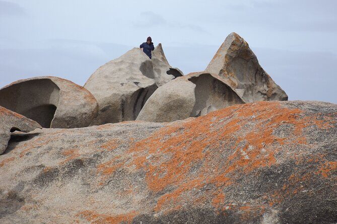Cruise Ship Flinders Chase Tour - The Value & Why It Works