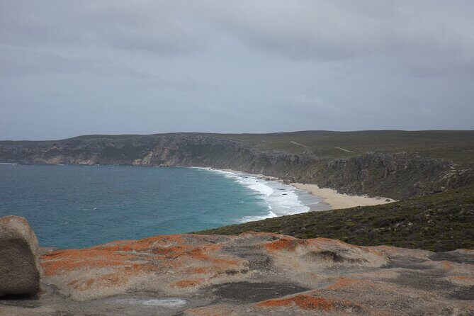 Cruise Ship Flinders Chase Tour - The Sum Up: Is It Worth It?