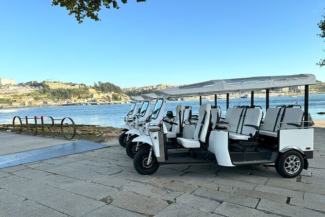 Cruise Shore Excursion - Private Tuk Tuk Tour to the Historic Center - Who Should Book This Tour?
