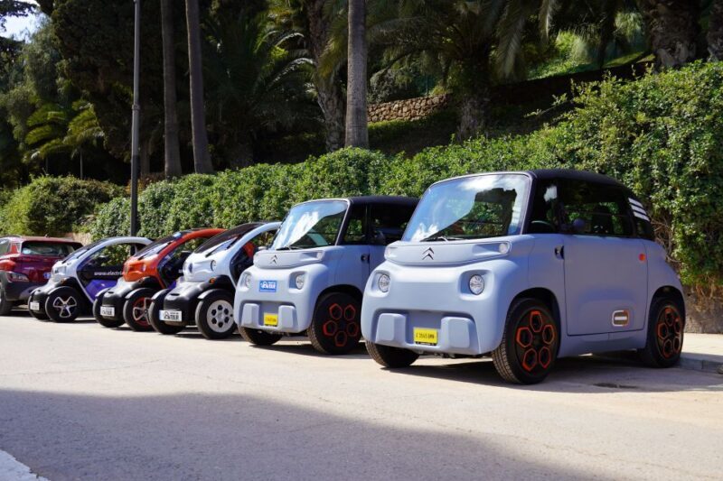 Cruise Terminal Pickup: Málaga in 2 Hours by Electric Car - Who Should Consider This Tour?