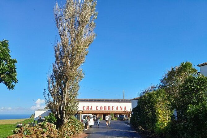 Cruise Travellers : Furnas Volcano & Terra Nostra Thermal Pool - Final Thoughts: Is This Tour for You?