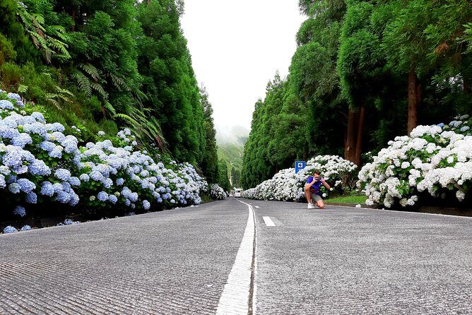 Cruise Travellers: Sete Cidades Volcano, The Blue & Green Lake - What’s Included and What to Expect