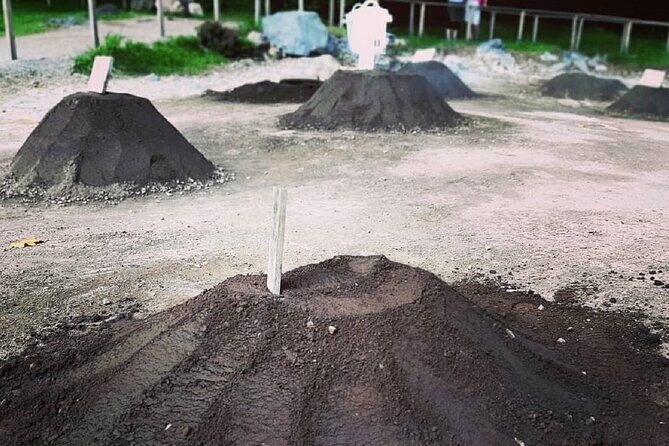 Cruise Travellers: Shore Excursion Sete Cidades & Furnas Volcano - Who Is This Tour Best For?