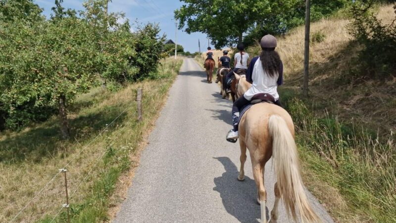 Cruseilles: Horseback Riding in the Countryside - The Sum Up
