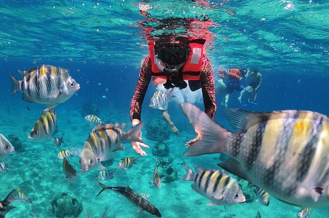 Crusers only Under the Sea of Cozumel - The Sum Up: Is It Worth It?