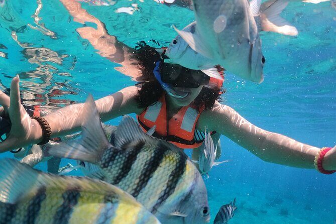 Crystal Boat Tour with Snorkeling and Drinks in Cozumel - Setting the Scene: What’s This Tour All About?