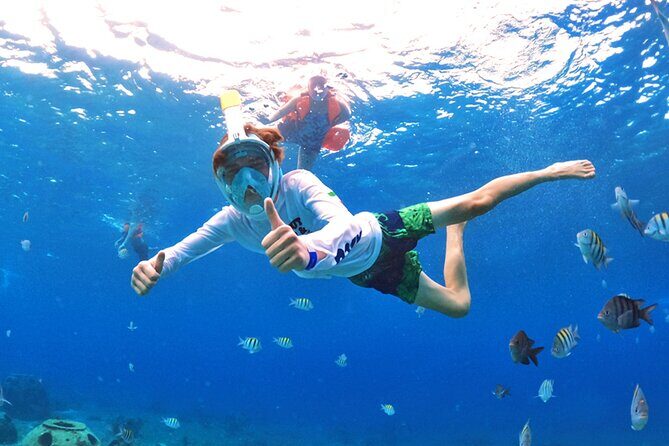 Crystal Boat Tour with Snorkeling and Drinks in Cozumel - The Practicalities: Group Size, Duration, and Booking