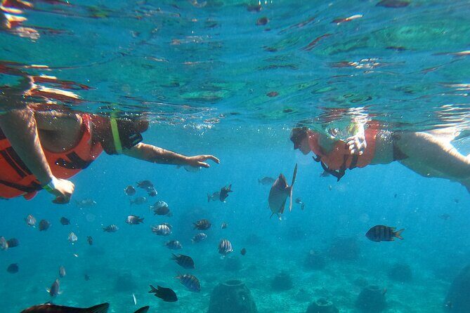 Crystal Boat Tour with Snorkeling and Drinks in Cozumel - Authentic Experiences and Insights from Reviewers