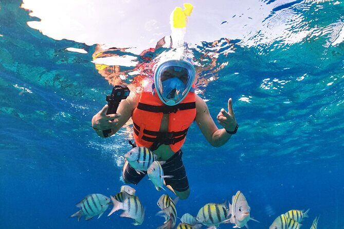 Crystal Boat Tour with Snorkeling and Drinks in Cozumel - Who Should Consider This Tour?