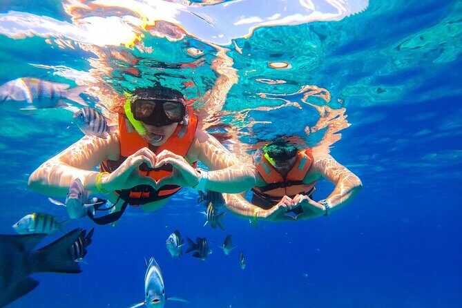 Crystal Boat Trip and Snorkeling Tour from Cozumel - Who Will Love This Tour?