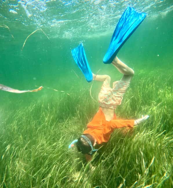 Crystal River: All Inclusive Premier Scalloping Tour - Detailed Review of the Tour  