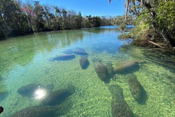 Crystal River Boat and Nature Tour - Final Thoughts: Who Should Book This Tour?
