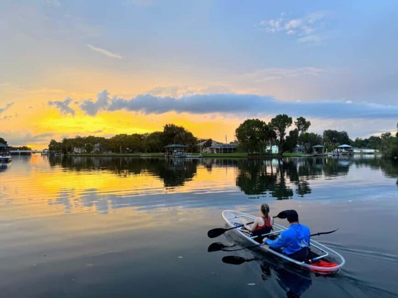 Crystal River: Clear Kayak Sunset & Night Glow Tour - What to Expect From the Tour  