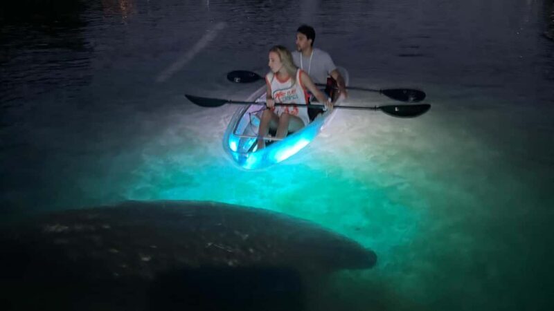 Crystal River: Clear Kayak Sunset & Night Glow Tour - Practical Details and Tips  