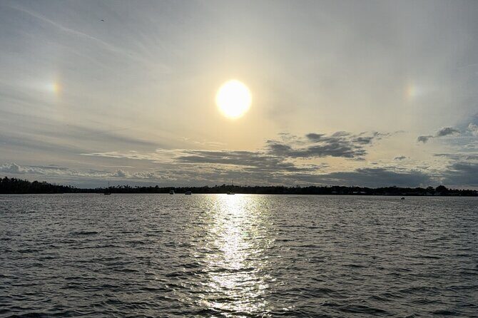 Crystal River Shell Island Adventure - In-Depth Look at the Tour Experience