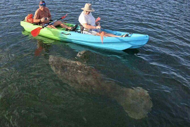 Crystal River Sunrise Manatee Clear Kayak Tour - Why this tour is a Great Choice