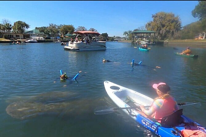 Crystal River Sunrise Manatee Clear Kayak Tour - FAQ