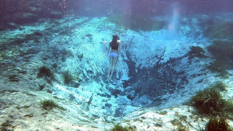 Crystal River:Three Sisters Springs Guided Kayak & Swim Tour - The Overall Experience & Who It’s Best For