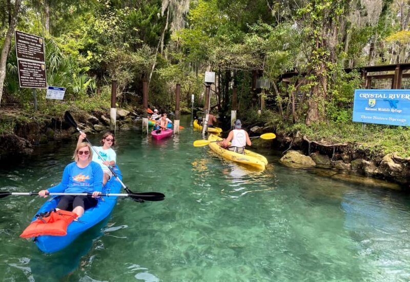 Crystal River:Three Sisters Springs Guided Kayak & Swim Tour - Final Thoughts