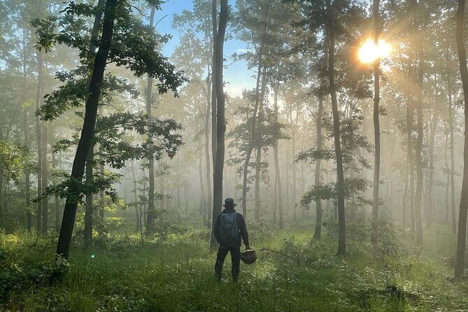 Culinary Adventure To The Fungi And Botanical Kingdom Of Bulgaria - Exploring the Fungi and Botanical Kingdom of Bulgaria: A Genuine Culinary Adventure
