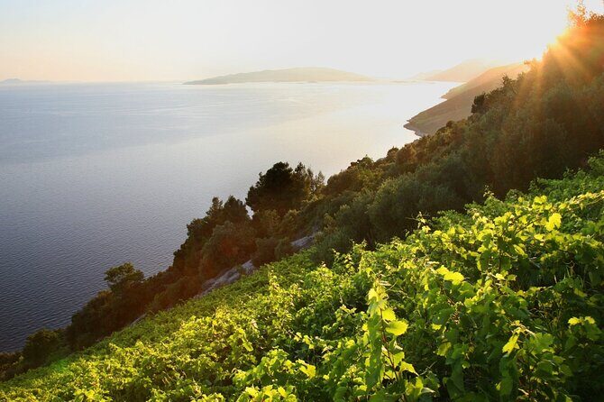 Culinary Experince from Dubrovnik PRIVATE 5course LUNCH included - The Food & Wine Experience