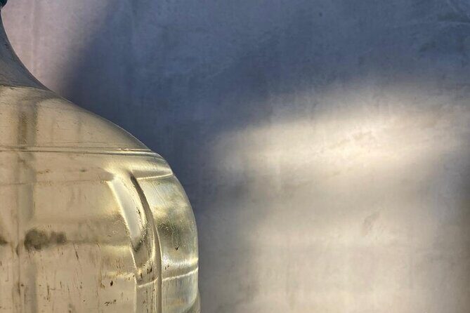 Cultural Tasting of 3 Roots in Puerto Vallarta - Analyzing Value and Practicalities